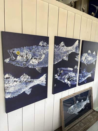 Nautical Wall Art - Fish Prints | FishAye Trading Company