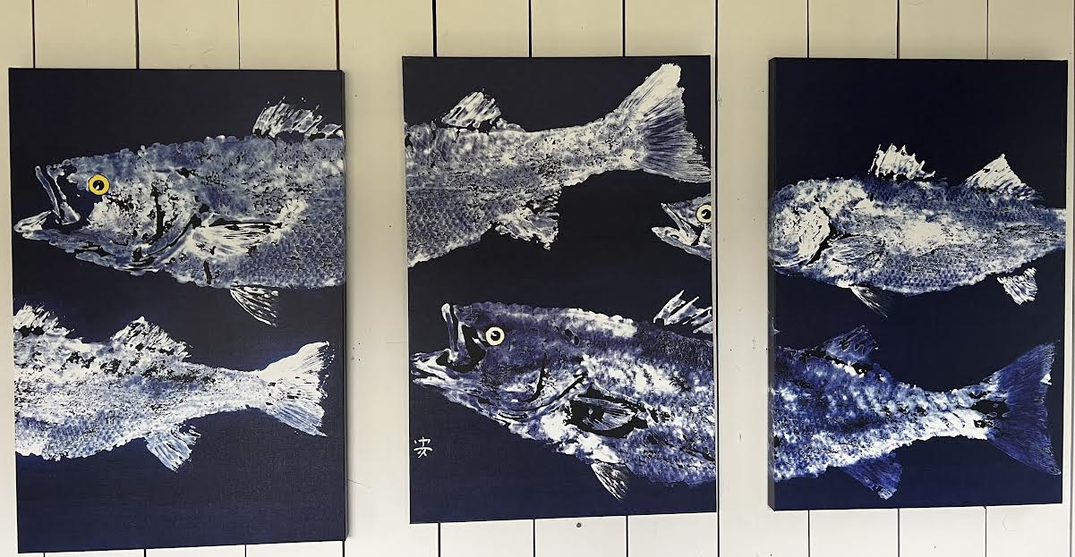 FishAye Triptych – Coastal Fish Wall Art Decor