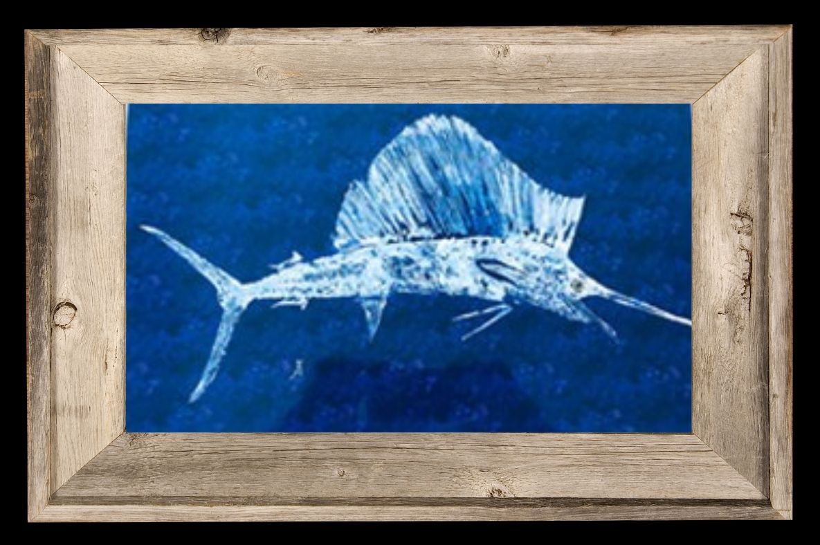 FishAye Sport Fishing Sailfish Art Print, Marina Ocean Decor