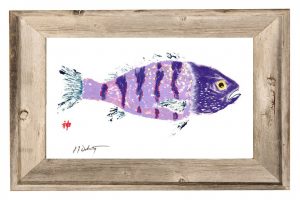 Purple Striper – Bold Coastal Fish Wall Art Print