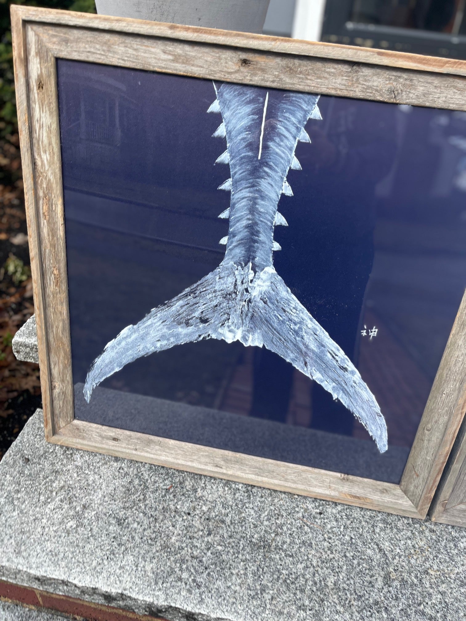 FishAye Blue Fin Tuna Tail 24x24” – Coastal Gyotaku Art